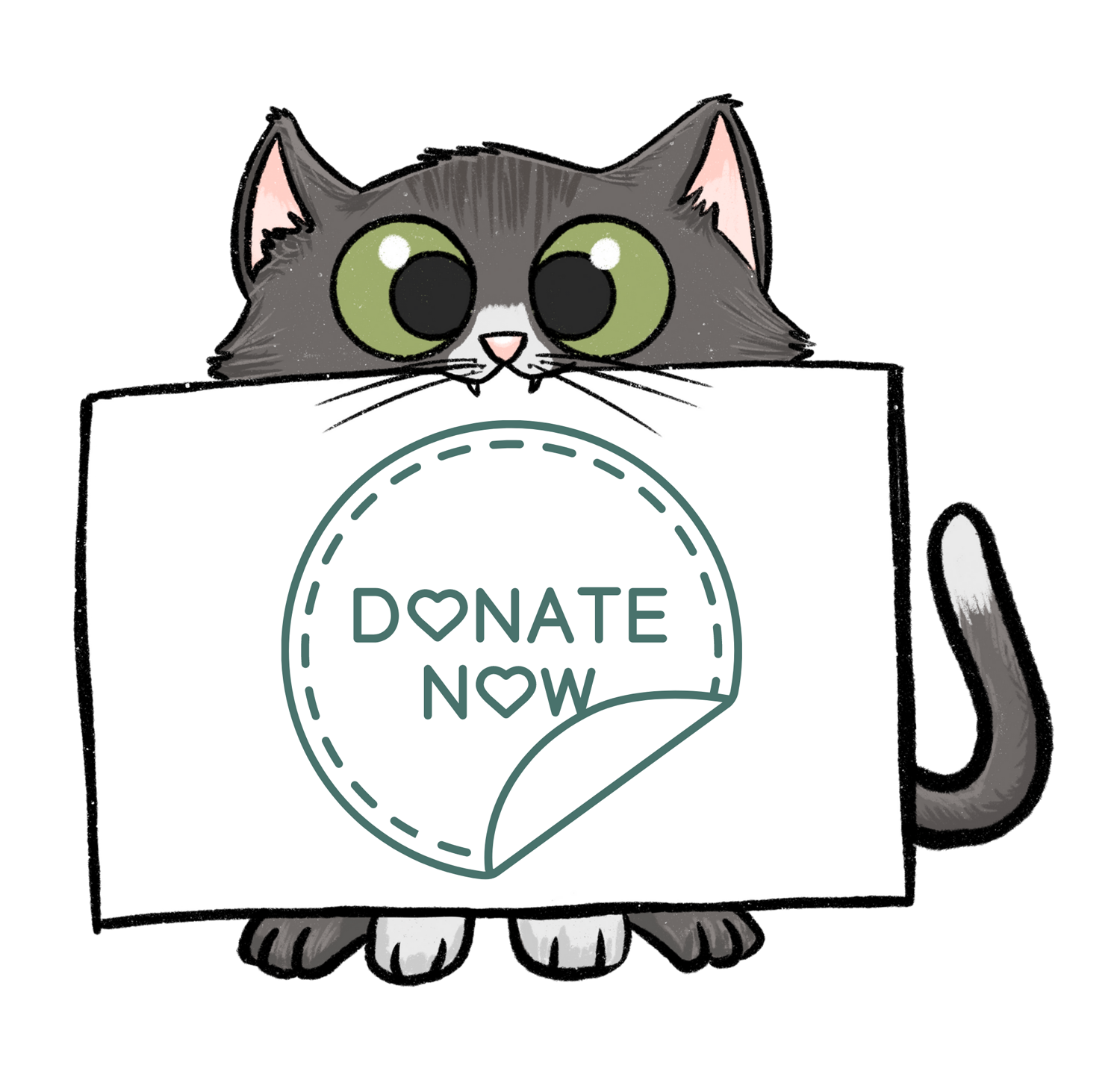 Small Wild Cat Conservation Foundation